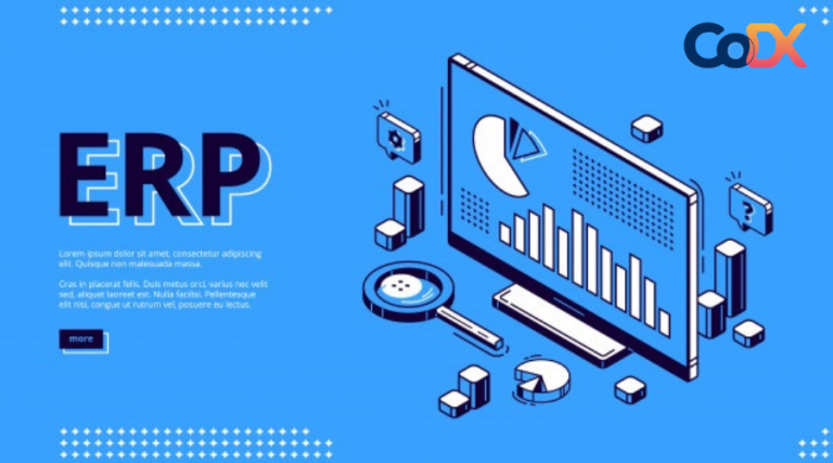 Tìm Hiểu Thực Trạng Các Phần Mềm ERP ở Việt Nam