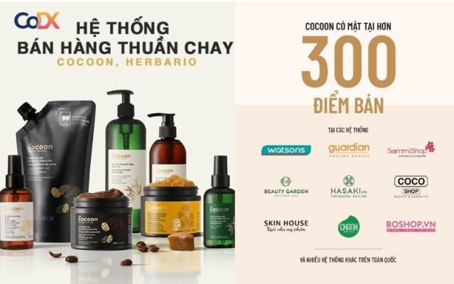 9 Chiến lược marketing của Cocoon năm 2023 (Tham khảo ngay)