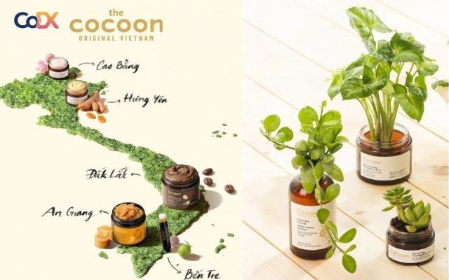 9 Chiến lược marketing của Cocoon năm 2023 (Tham khảo ngay)
