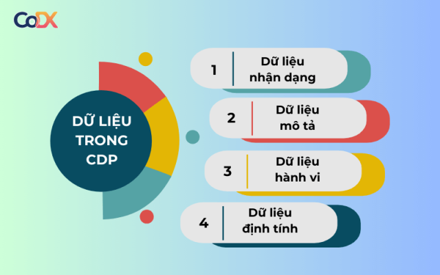 CDP là gì? Đặc điểm, lợi ích và cách triển khai HIỆU QUẢ