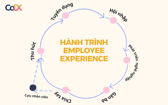 Employee Experience là gì? 7 Cách nâng cao trải nghiệm nhân viên