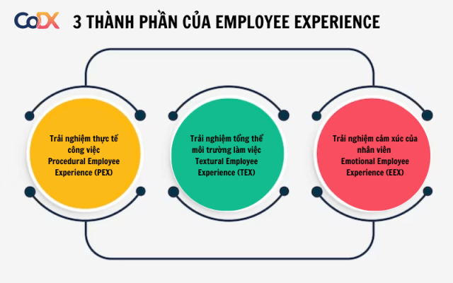 Employee Experience là gì? 7 Cách nâng cao trải nghiệm nhân viên
