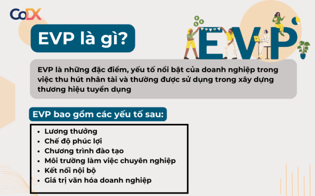 EVP là gì? Cách xây dựng, định vị Employee Value Propositions hiệu quả ...