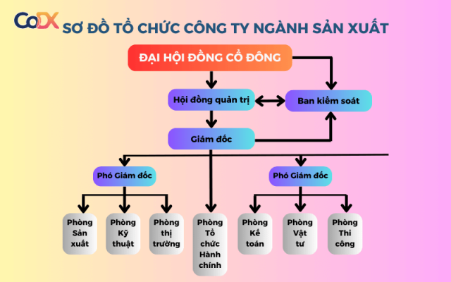 8 Mẫu Sơ Đồ Tổ Chức Công Ty Phổ Biến Hiện Nay Mới 2024
