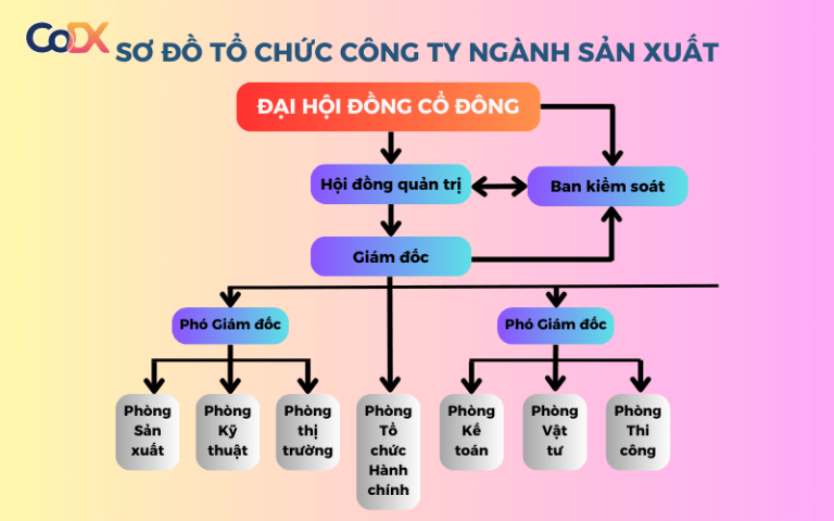 8 Mẫu Sơ Đồ Tổ Chức Công Ty Phổ Biến Hiện Nay Mới 2024
