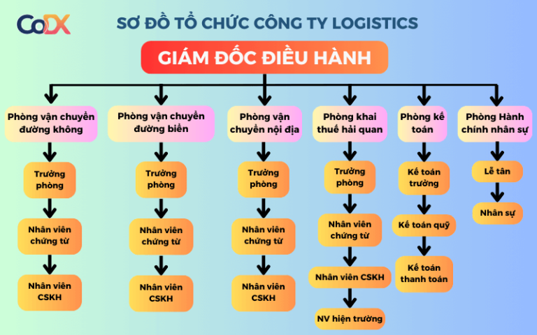 8 Mẫu Sơ Đồ Tổ Chức Công Ty Phổ Biến Hiện Nay Mới 2024