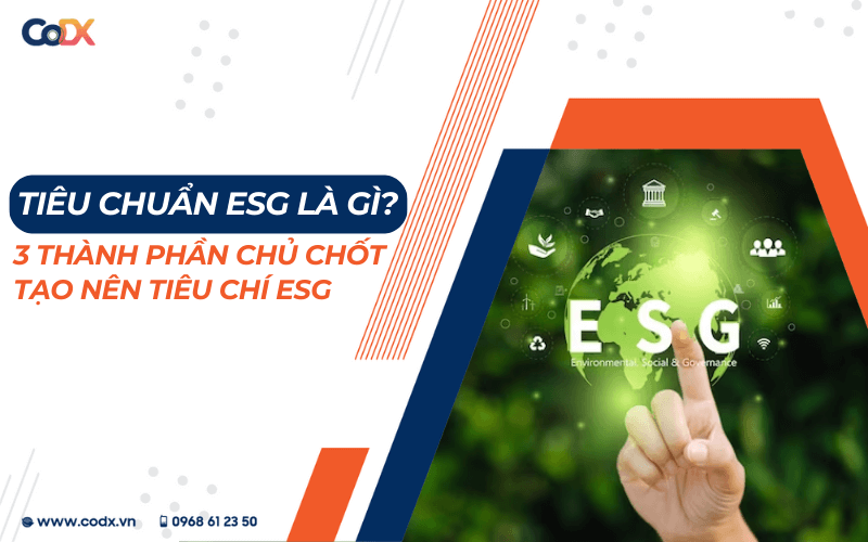 Báo cáo ESG là gì? Thực trạng triển khai của doanh nghiệp Việt 2024