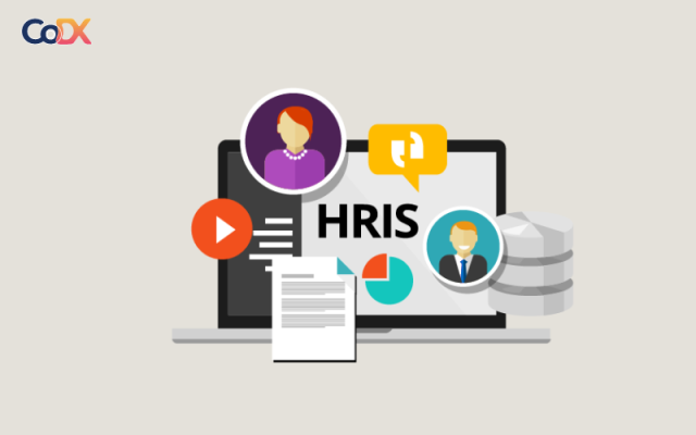 Hris là gì? Chức năng và cách chọn hệ thống thông tin nguồn nhân lực